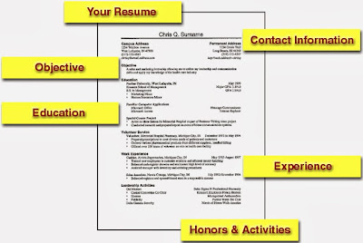 Best Resume Preparation tips, Formats and types for your Job Interview!