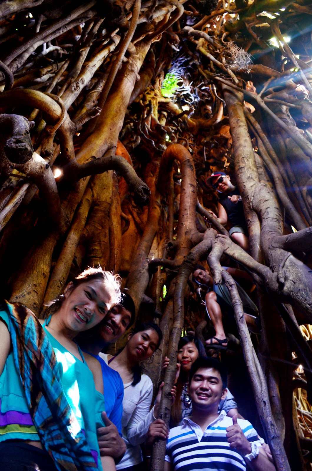 H E L L O ♥ K I M M Y : Millennium Tree - Old Balete Tree Of Aurora