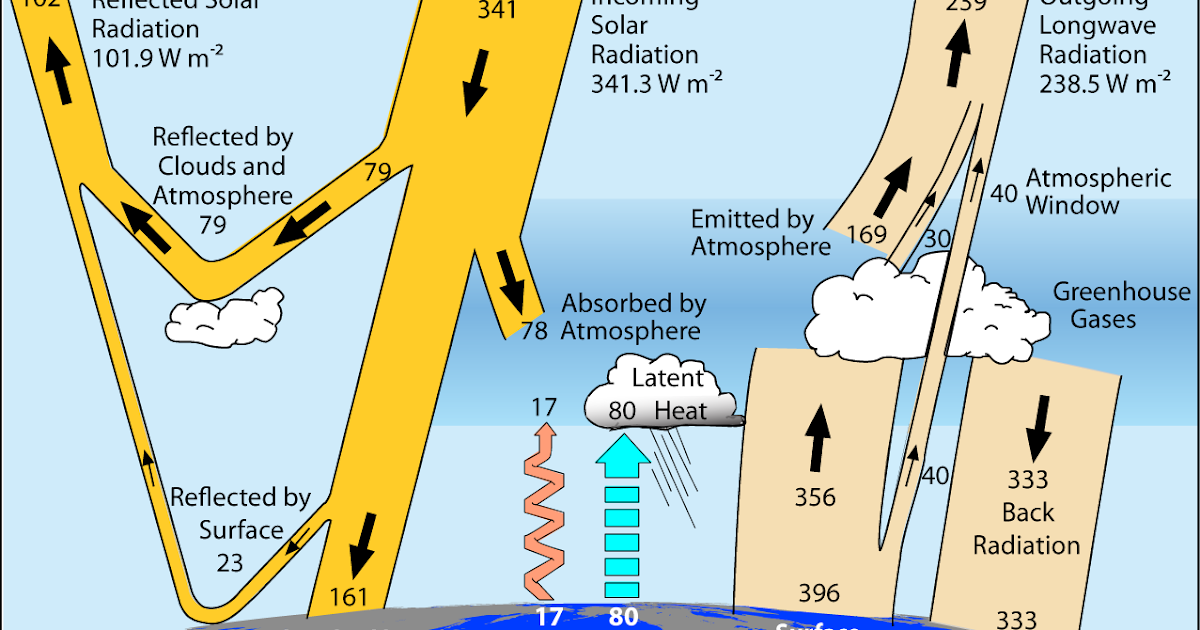 Climate Consensarian: On Competing Mechanisms for the Observed ...