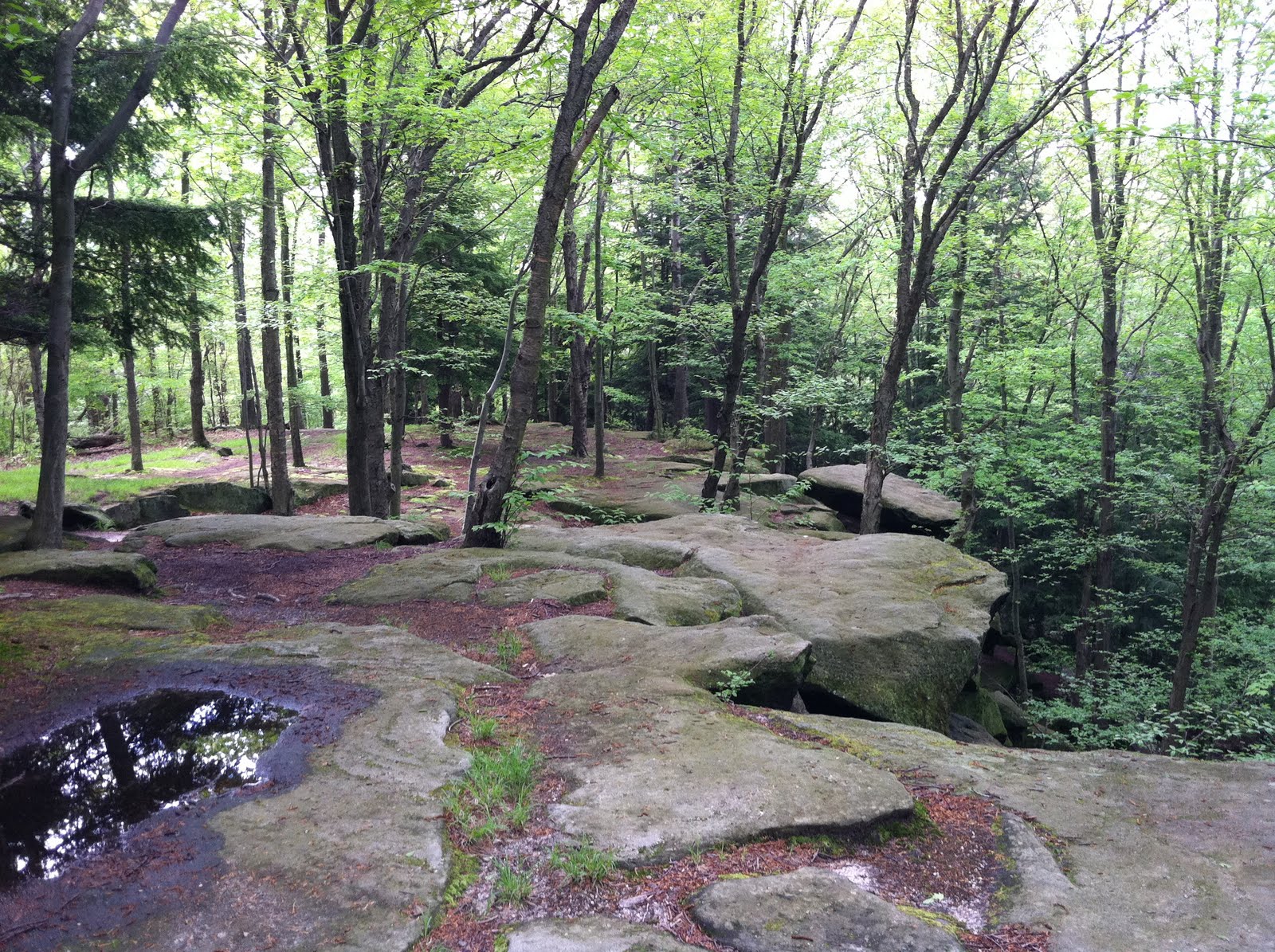 Adventure Awaits: Virginia Kendall Ledges