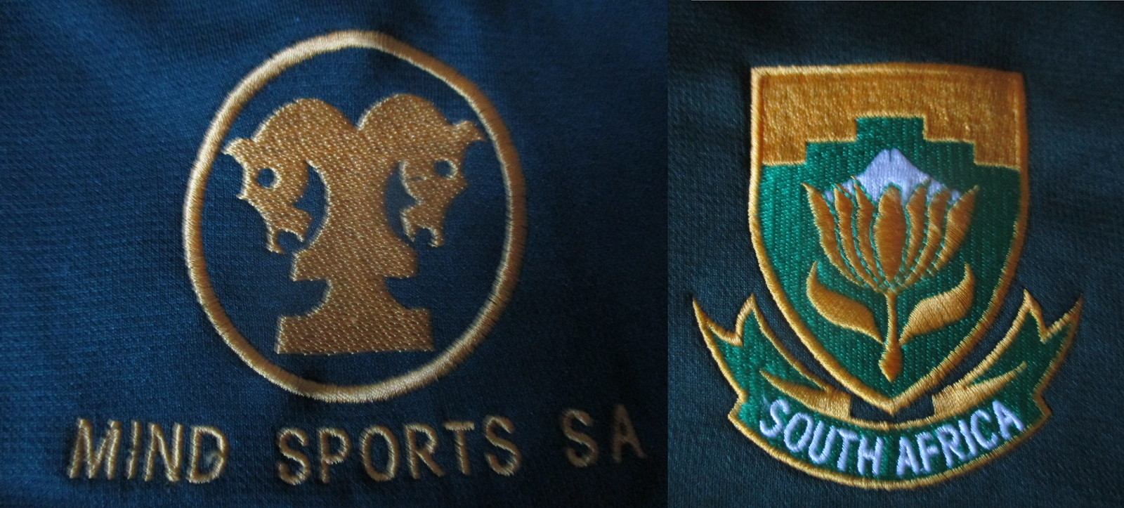 Esports South Africa, and other games : Growth of the official Protea ...