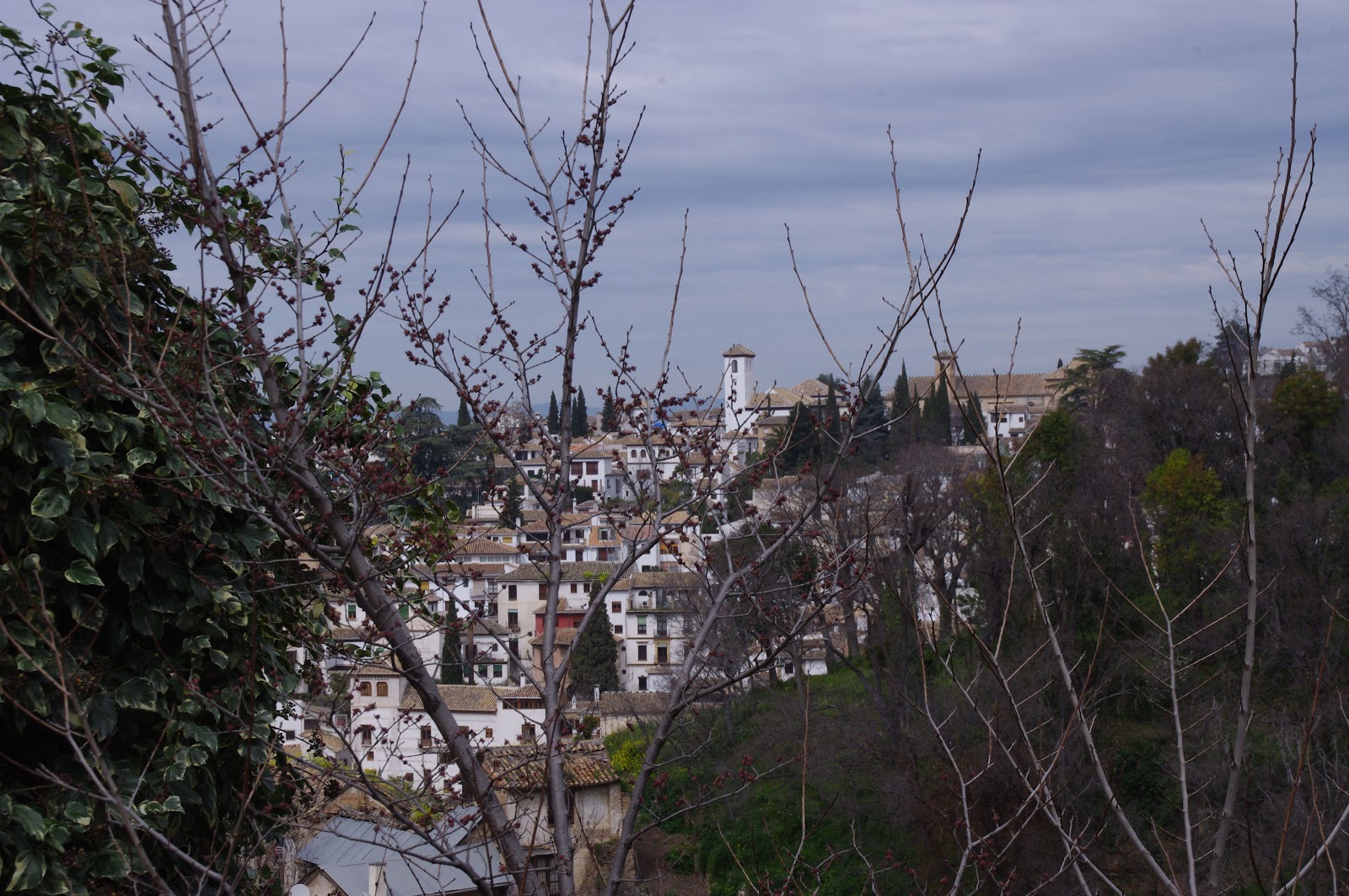 Las fotos de mis viajes: Realejo. Granada