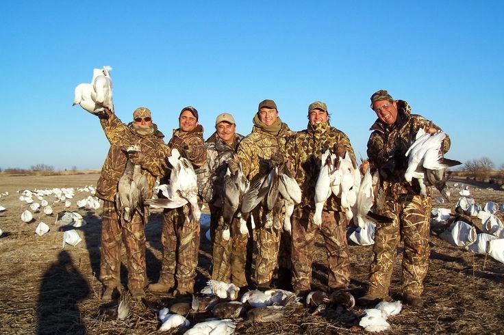 Show Me Snow Geese