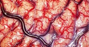 Primus Hospital : Providing the Best Infrastructure for Successful ...