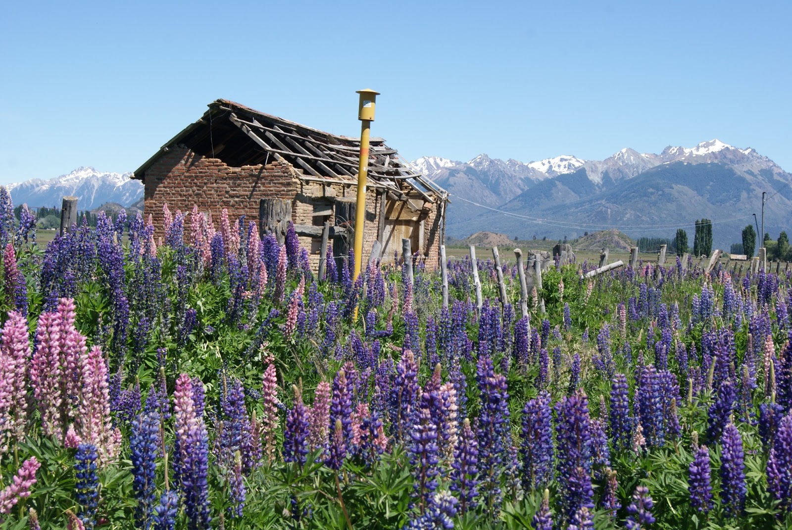 La foto diaria: Chubut - Cholila