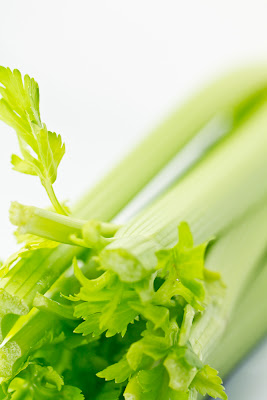 Selleri / Celery