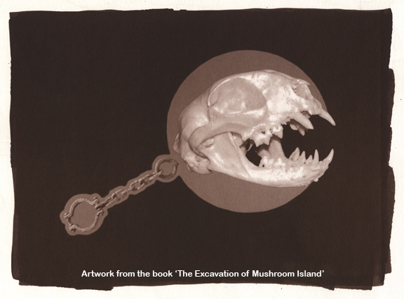 Popped Culture: The Excavation Of Mushroom Island