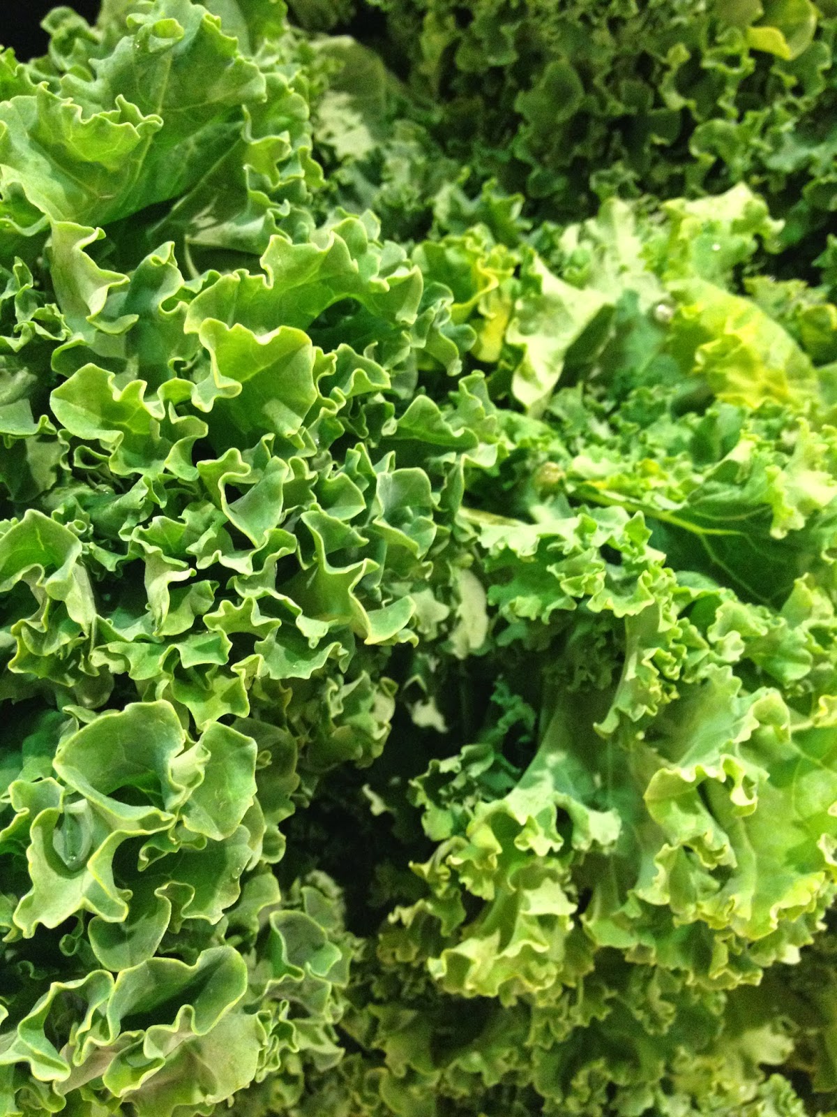 Kale Leaves | Lechuga Kale