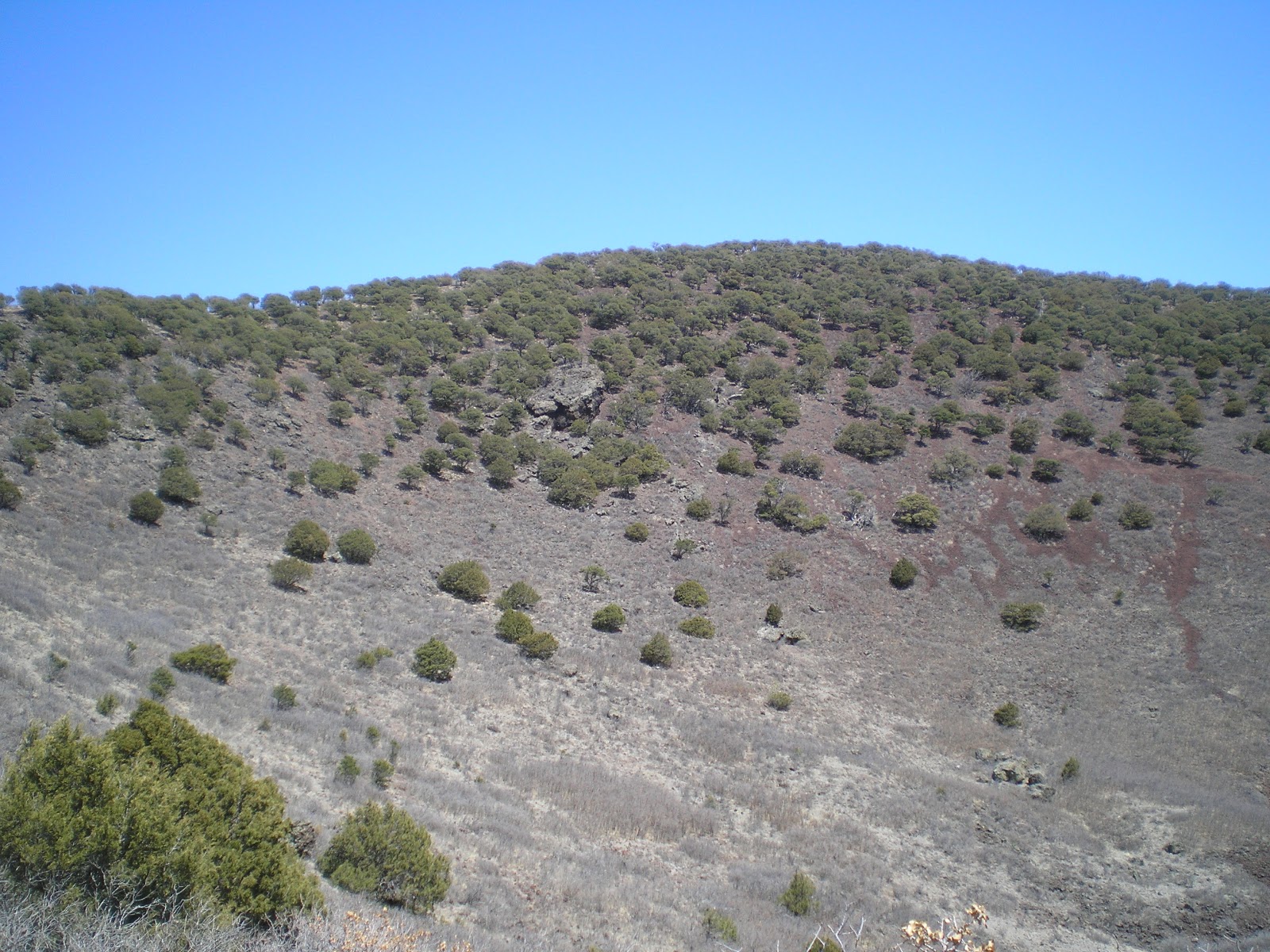The Road Genealogist: Capulin Volcano National Monument to Clayton, New ...