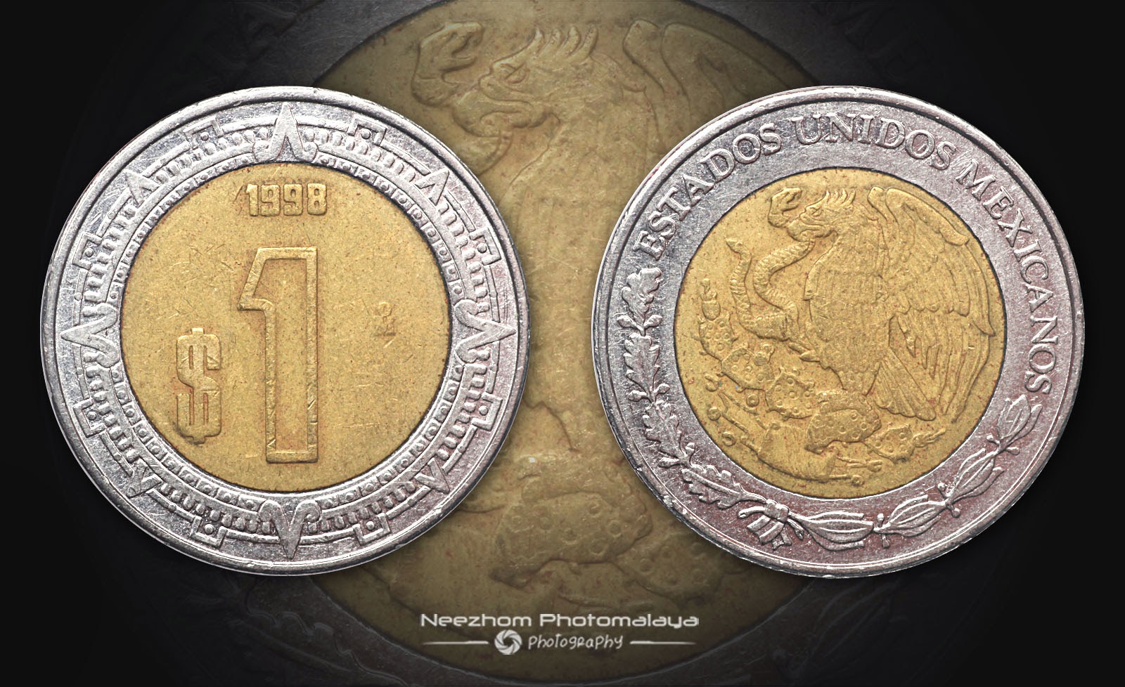 Bi-Metal coins collection ~ Neezhom