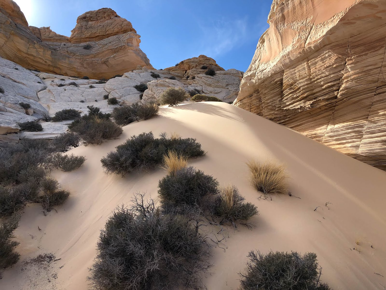 White Pocket Arizona (Rocks & High Point) - Turktacular 2017 - First ...