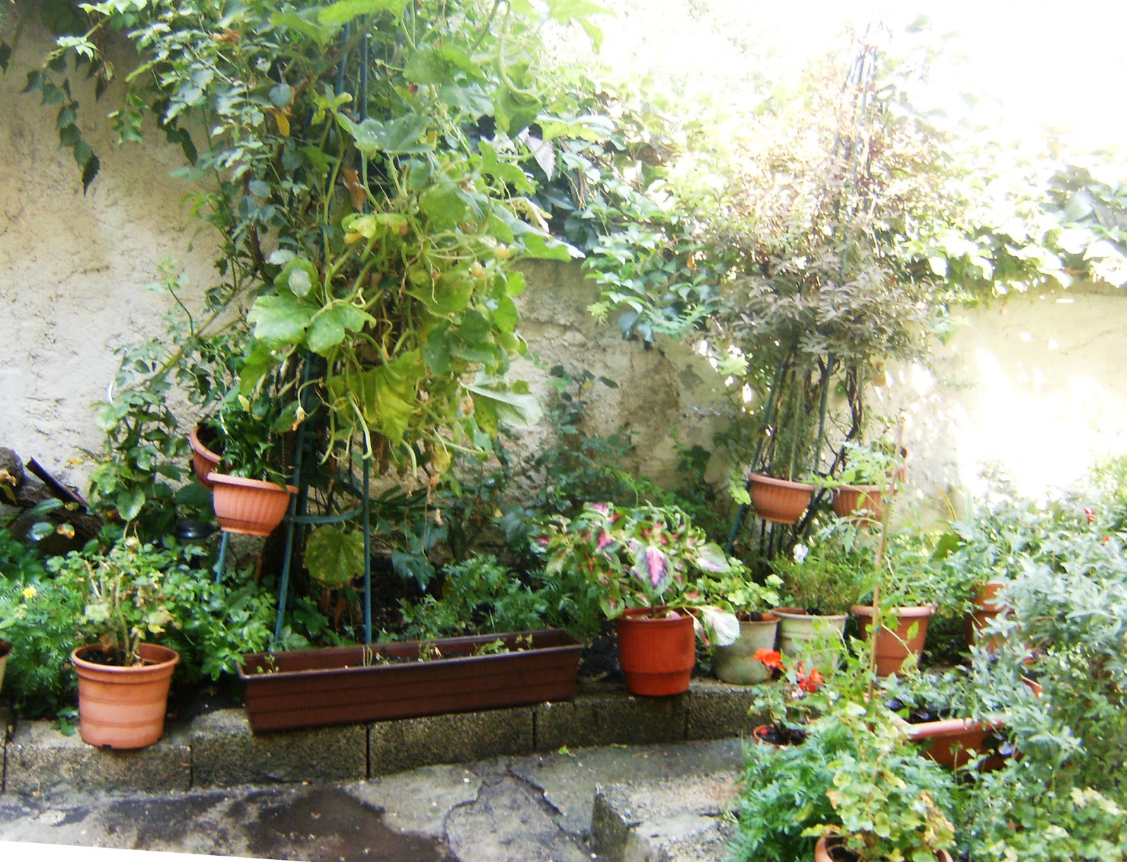 lila365idees: ΒΑΣΗ ΓΙΑ ΓΛΑΣΤΡΕΣ ΑΠΟ ΠΑΛΙΟ ΚΟΜΟΔΙΝΟ (BRACKET FOR POT OF ...