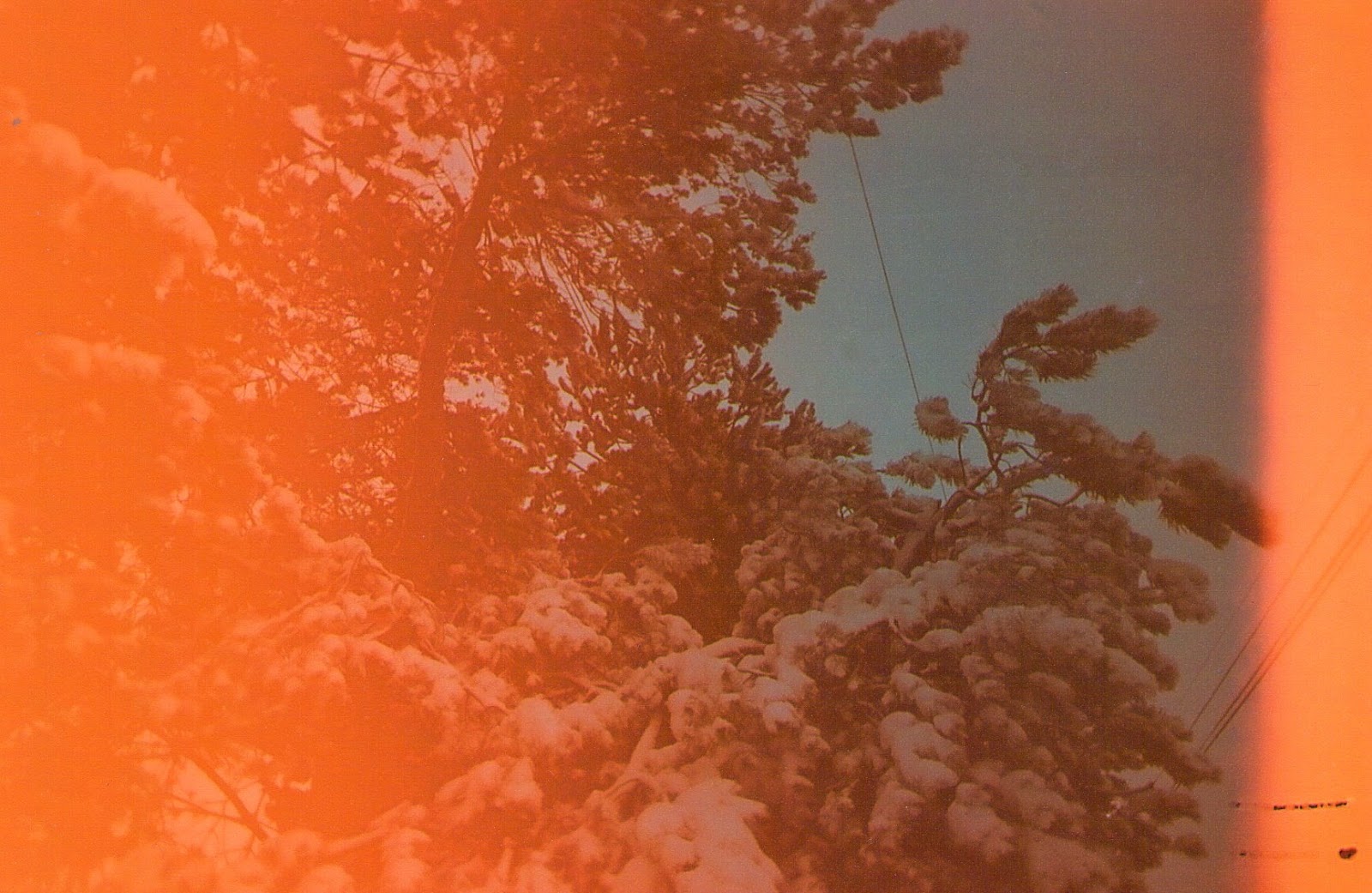 Hannah Curson: Snowy Funtimes.