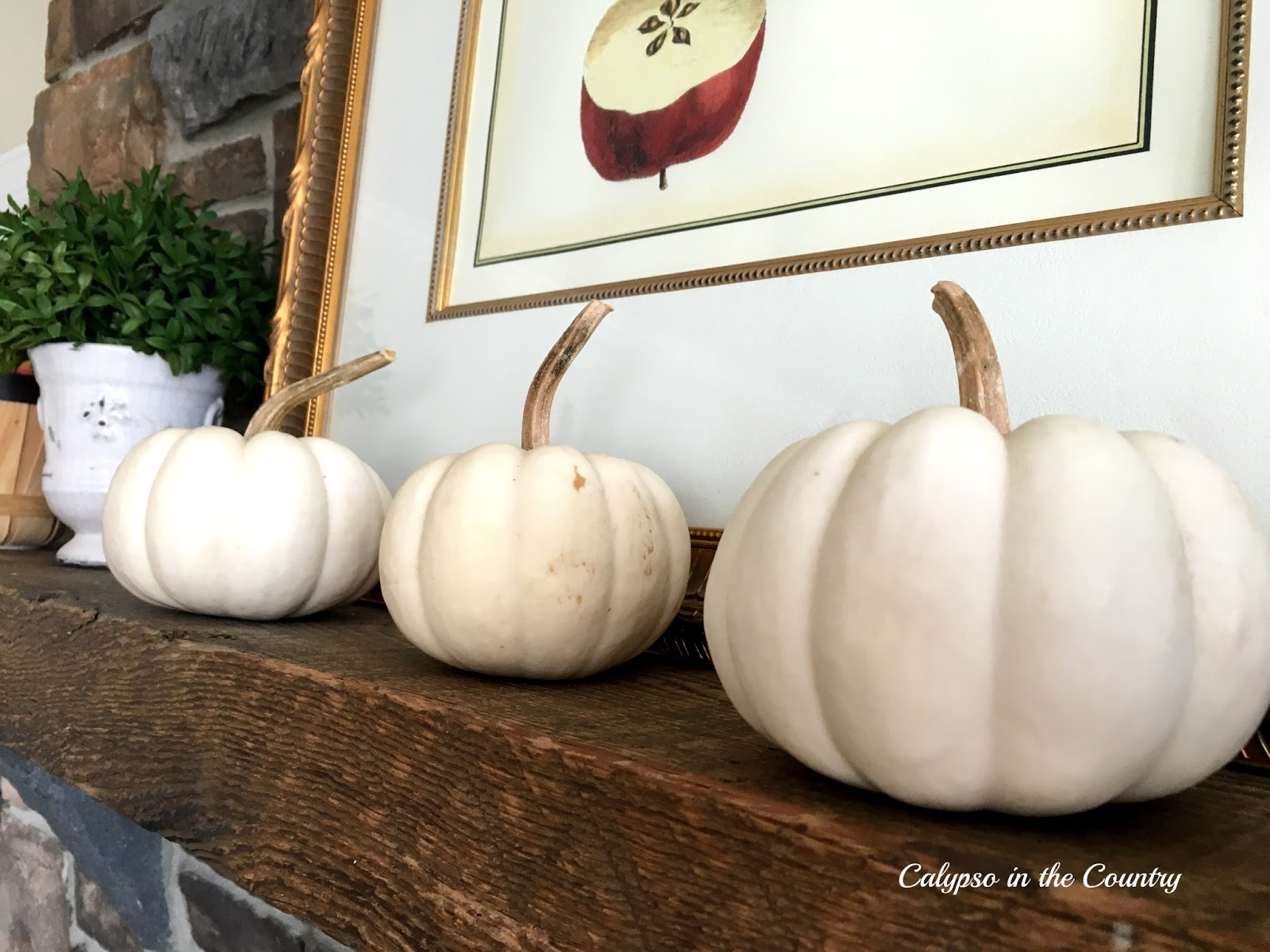 Decorating with White Pumpkins - Inspiration for Fall - Calypso in the ...