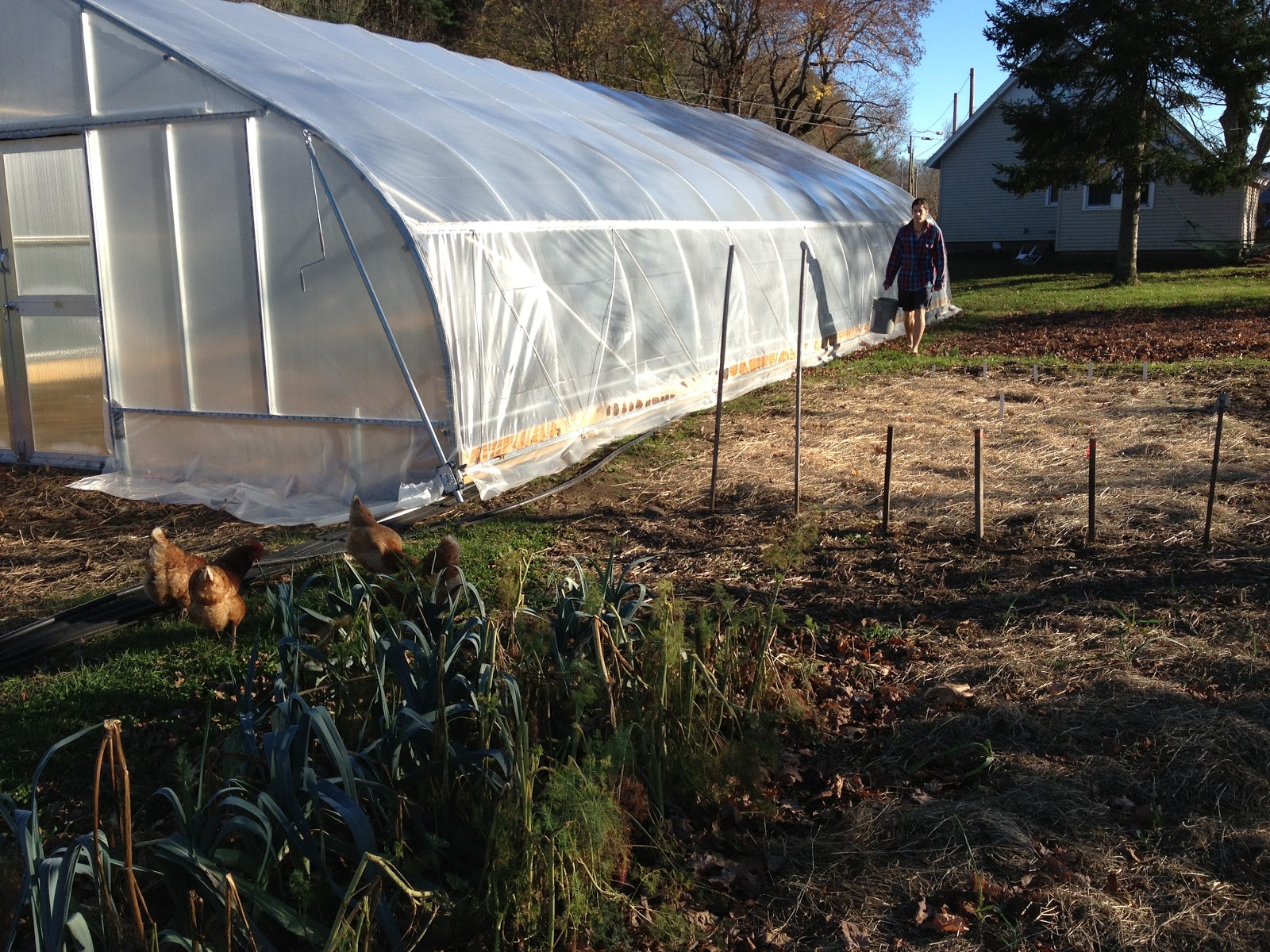 EcoHouse at Spring Valley Student Farm: Emergency Update