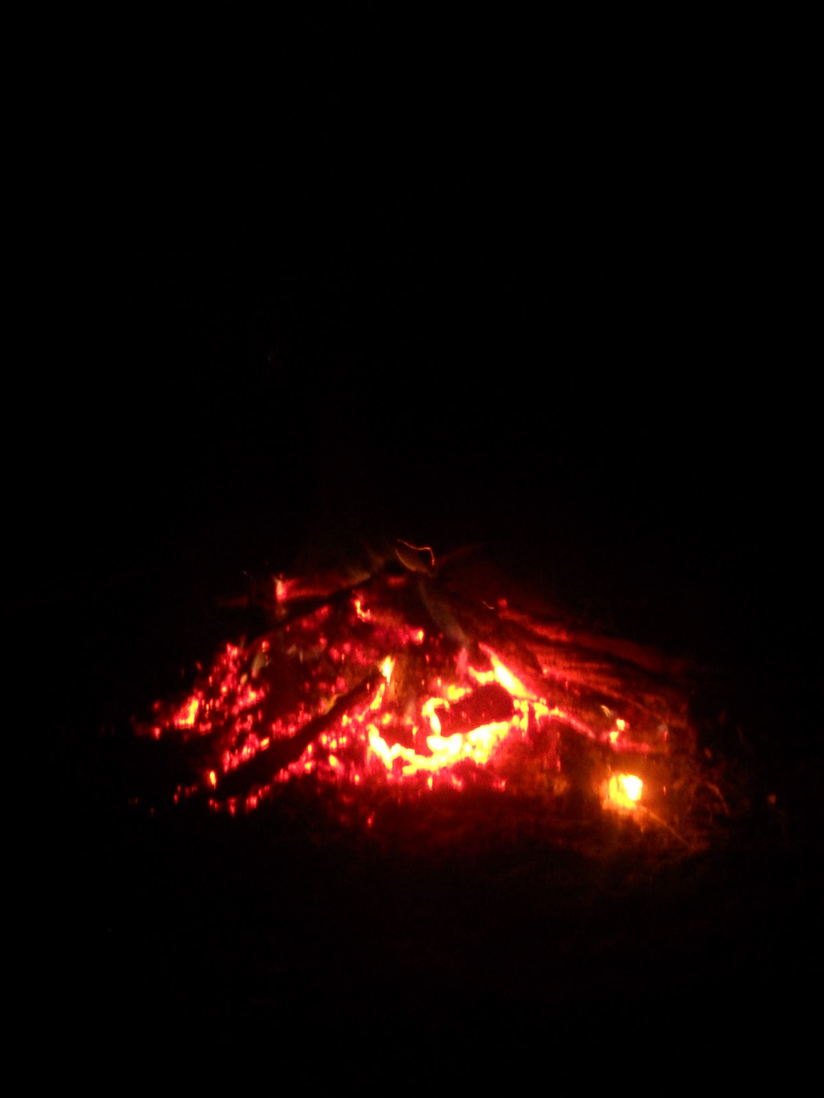 magazìn: Falò di S. Antonio 17 Gennaio 2012