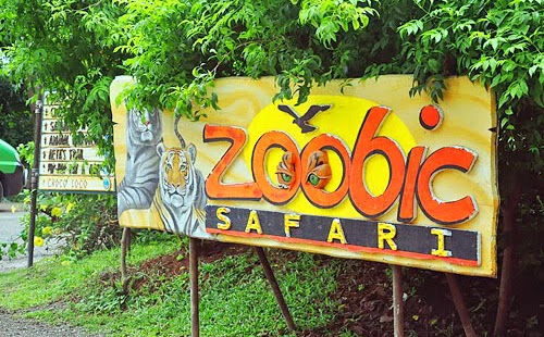 10 Reasons to Visit Zoobic in Subic Bay