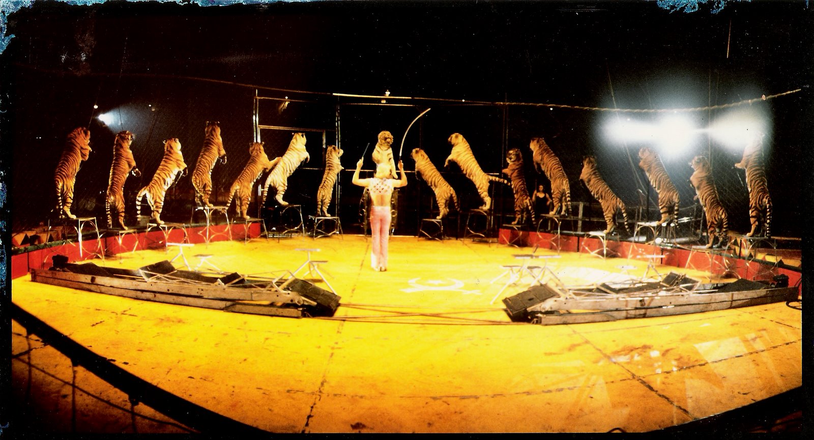 The Circus "NO SPIN ZONE": Carlos Mesh--What Started As A Pull--Up ...