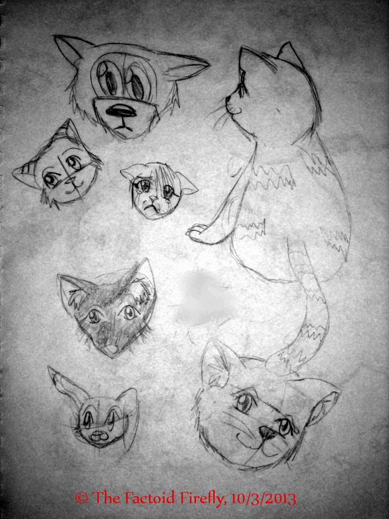 The Factoid Firefly: |- Sketches -| Cats and Face Angles