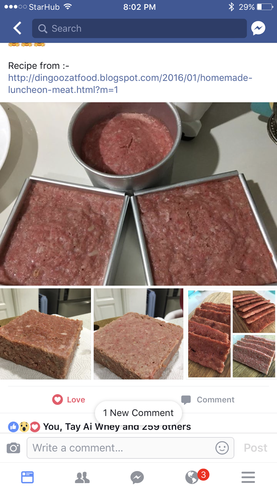 Miki's Food Archives : Homemade Luncheon Meat 自制午餐肉