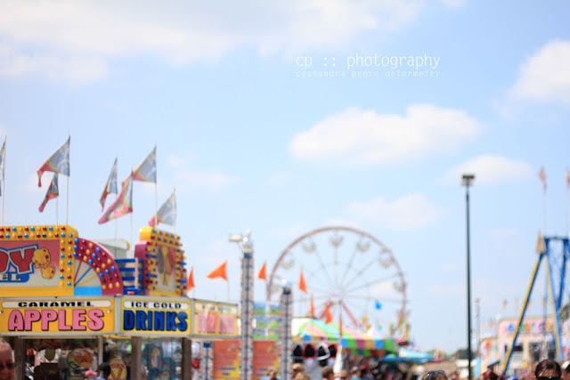 sassafras: August 2013