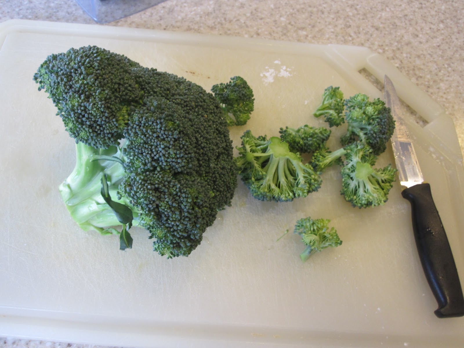 Toads in the Tub: Broccoli Cheddar Soup