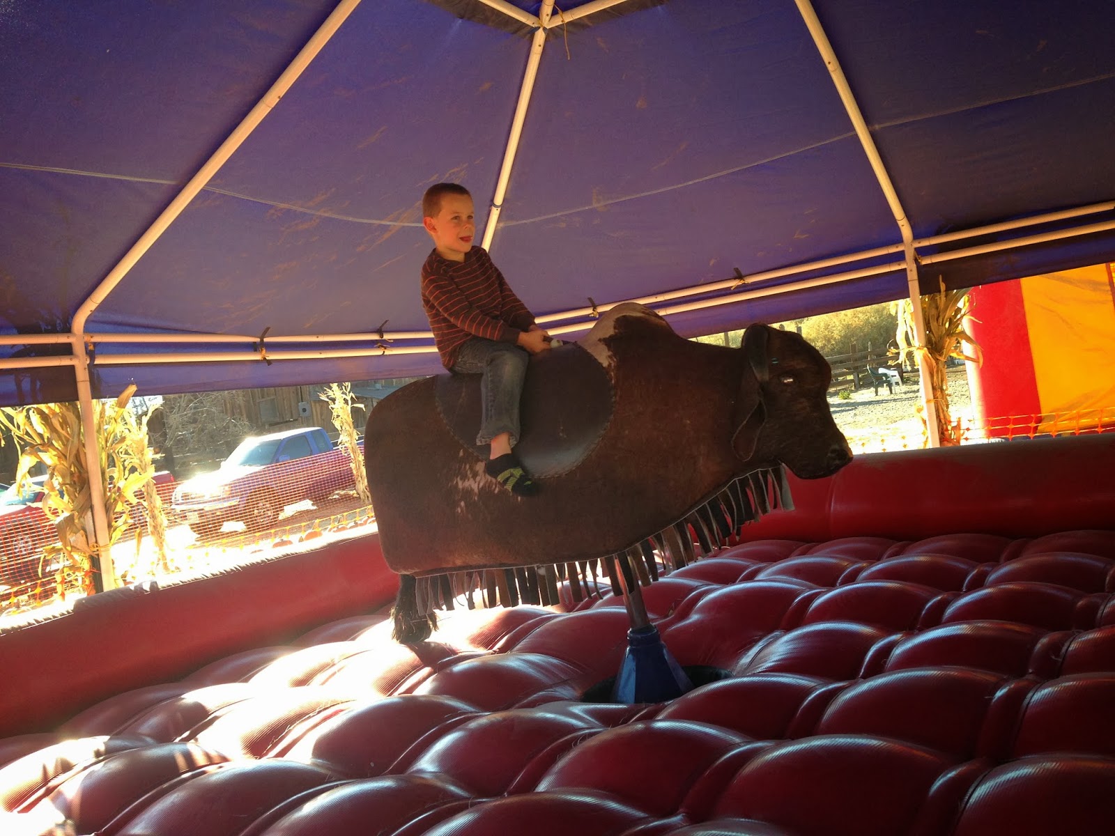 Trevor & Cole: Bull Riding