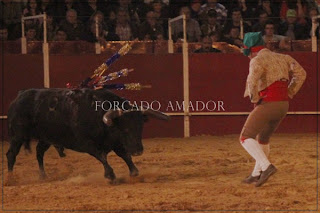 Grupo Forcados Amadores Coruche