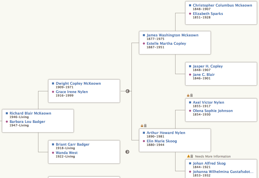 My McKeown Family History: Family Tree (for reference)