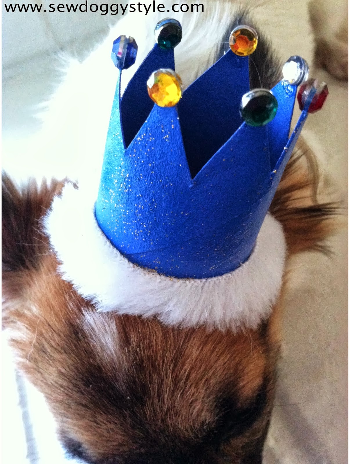 Sew DoggyStyle: DIY No-Sew Mini Dog Crown