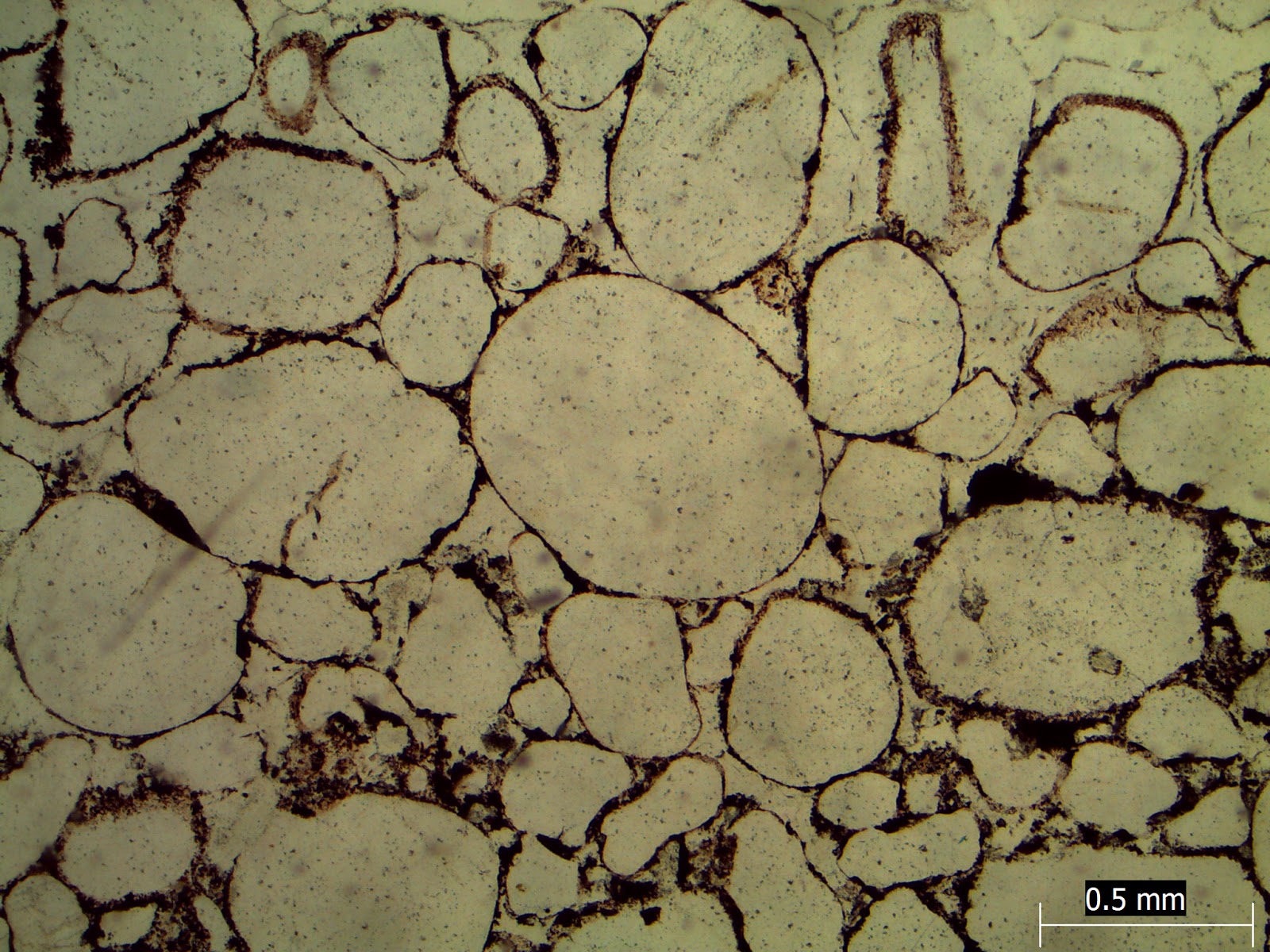 Rapid Uplift: Photomicrograph: Super Mature Quartz Arenites From ...