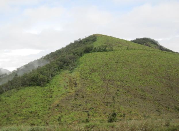 Climbing Mount Guntur - FILE ZOOM