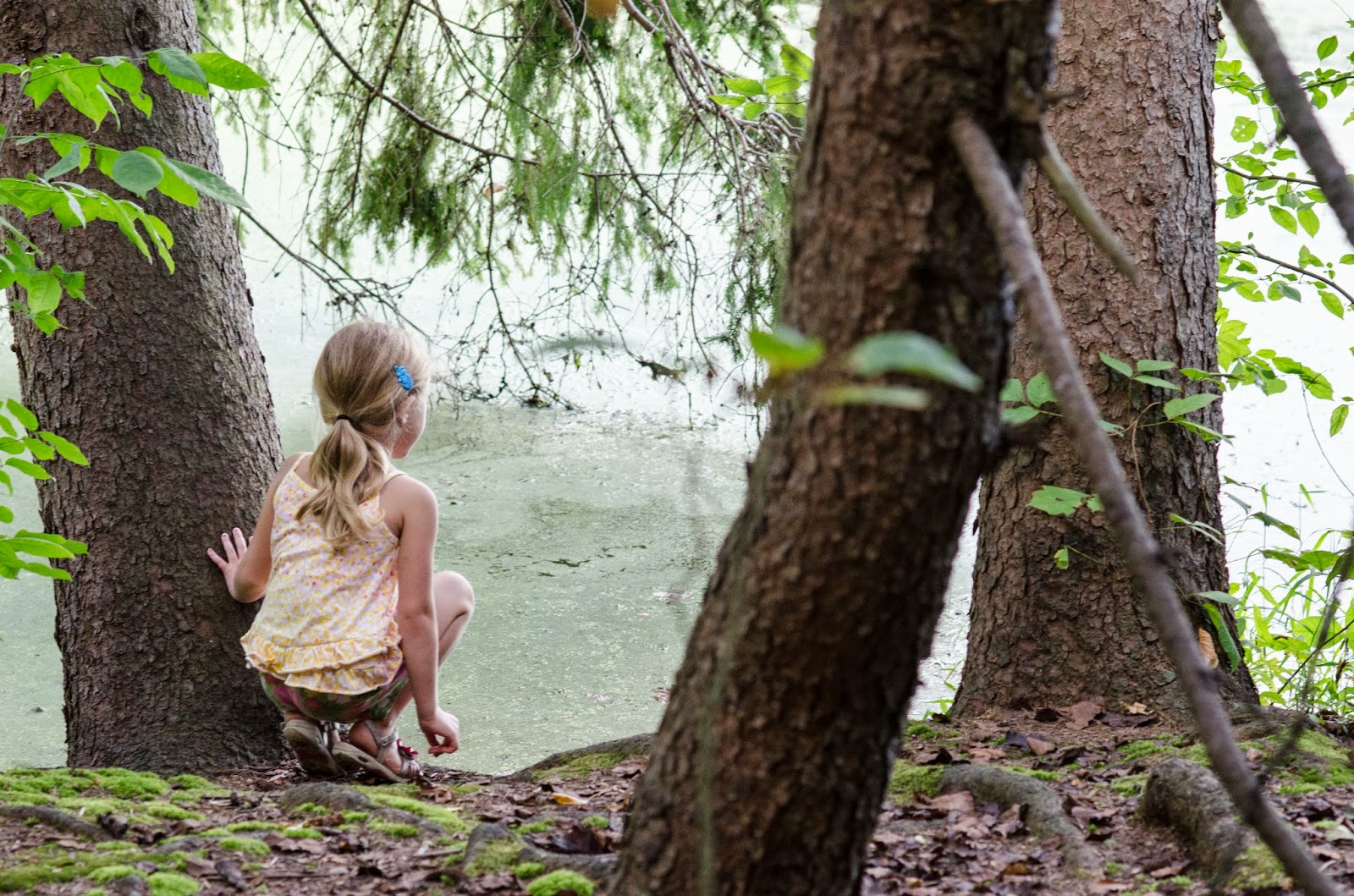 Picturing the Ordinary: Hop Frog Pond