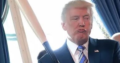 the joy of sox: Donald Trump's Baseball Career: Slate Examines The ...