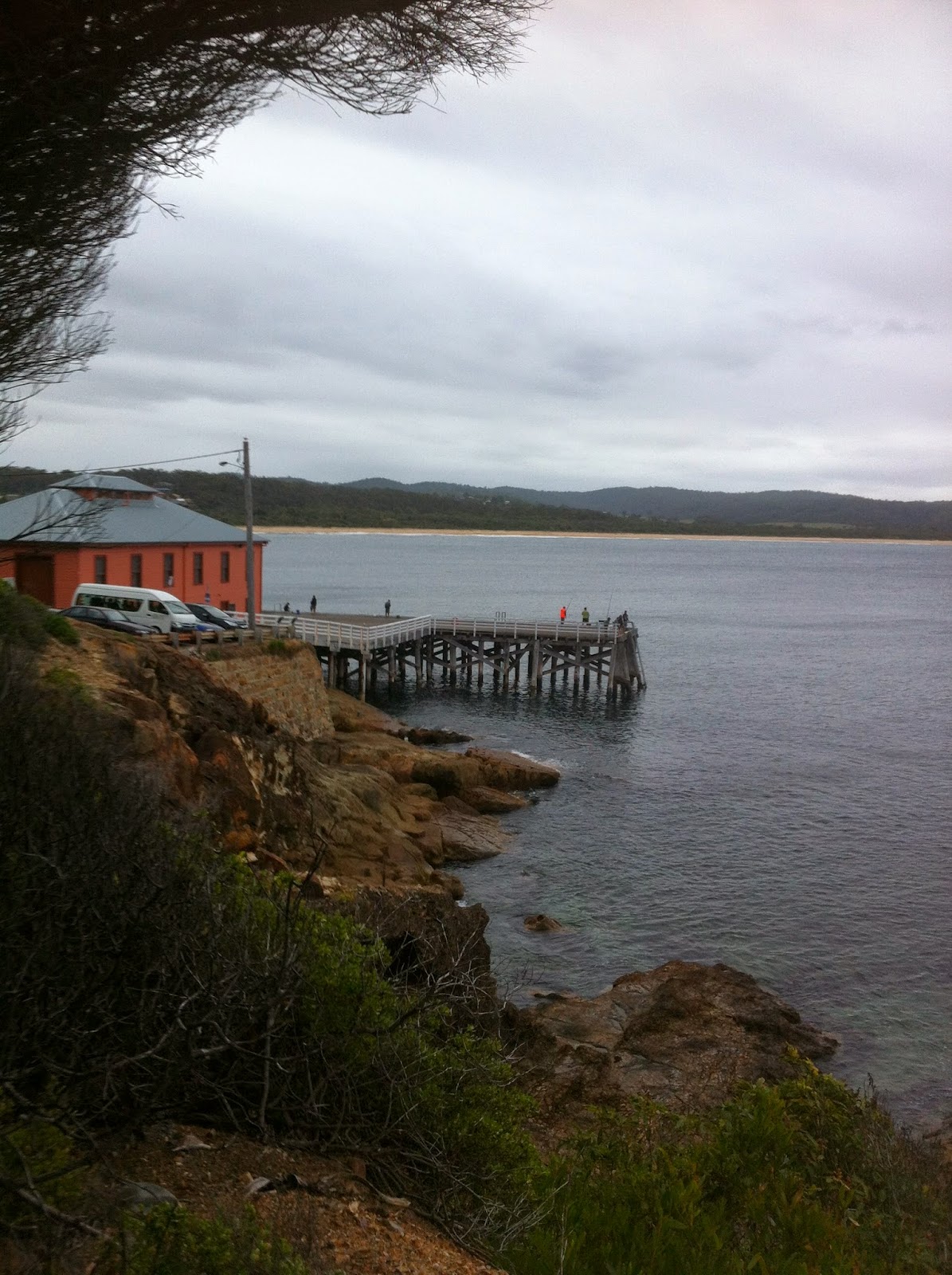 Musings from Debbie: Who got hooked, fishing at Tathra Wharf?