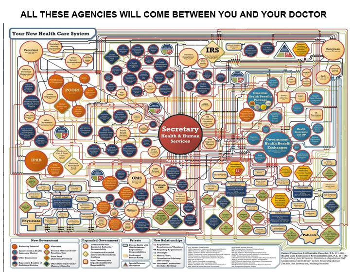 Perspectives on Charity Accountability: Quasi-Government Function ...