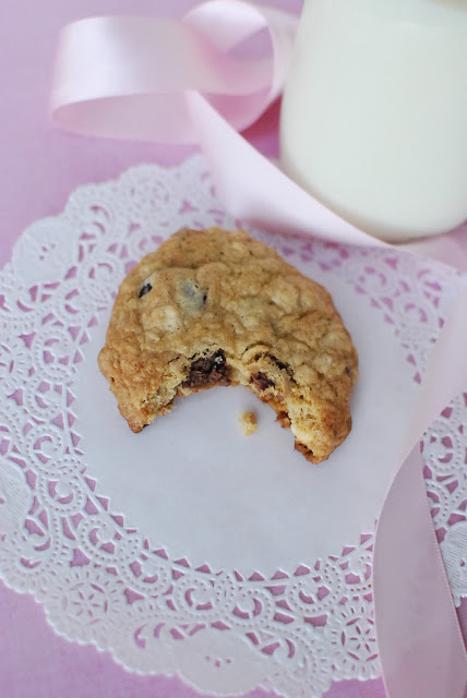 anna and blue paperie: {Recipe} Yummy Oatmeal Cranberry Chocolate ...