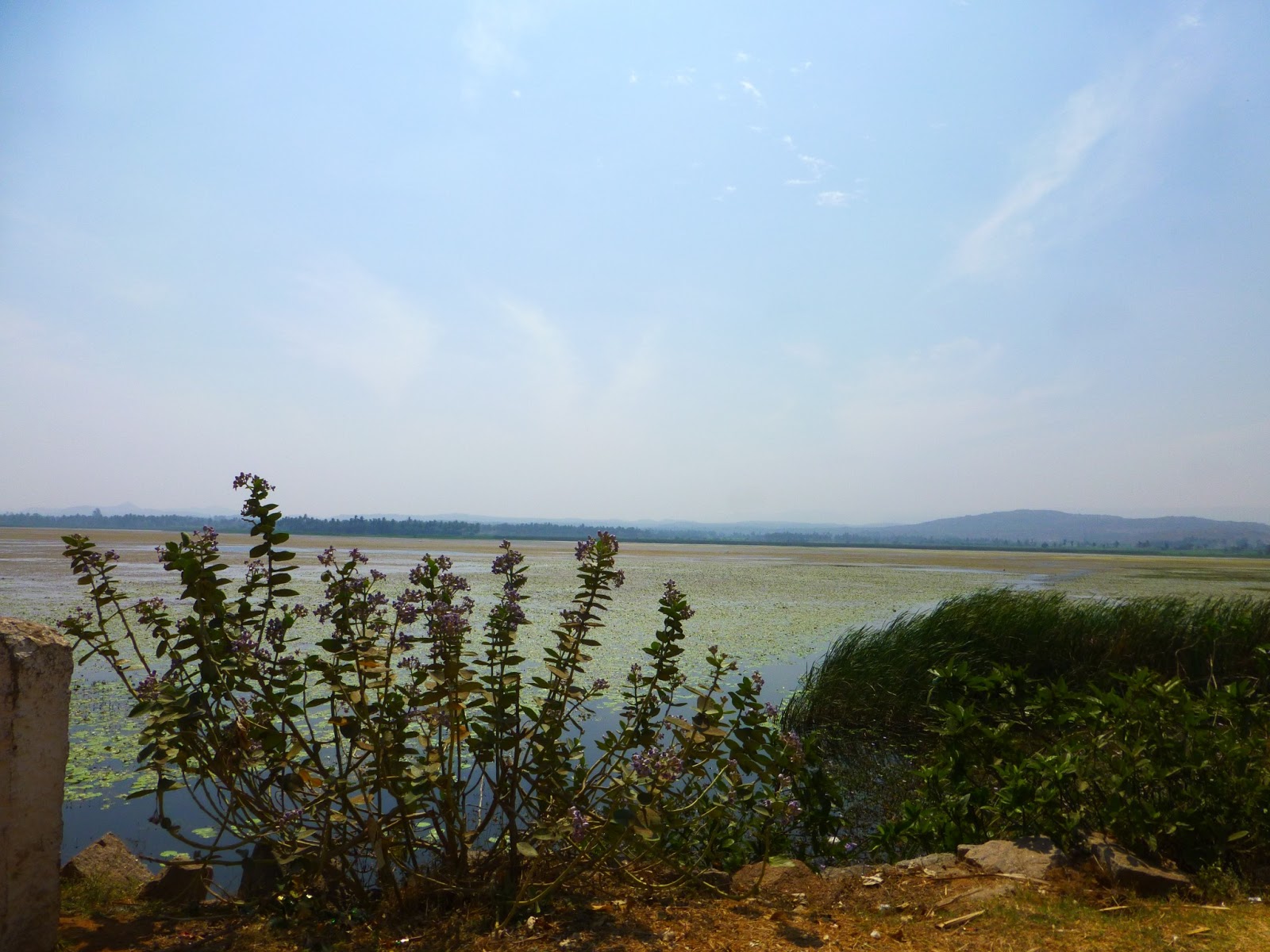 Marianne Wendel i Indien: Hampibilder dag 3 den 12 februari