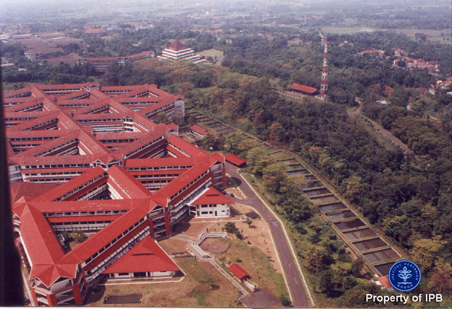 MR. BOB BLOG: February 2012