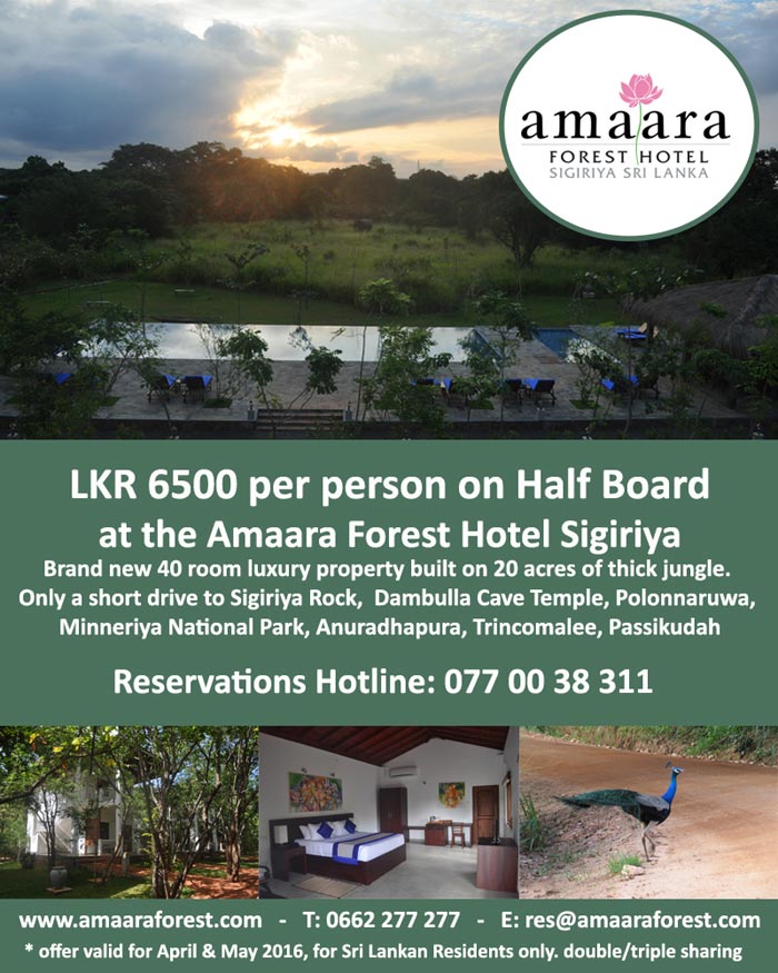 Amaara Forest - Holiday in the Forest | Powercampaigner - Email ...