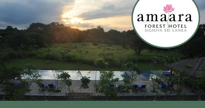 Amaara Forest - Holiday in the Forest | Powercampaigner - Email ...