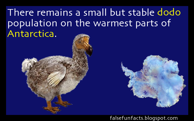 False Fun Facts: Dodos
