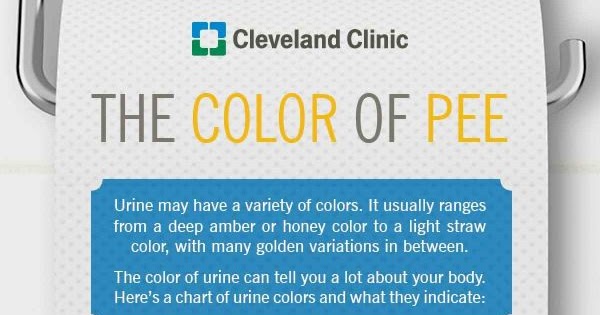 Terpopuler 21+ Penyebab Air Kencing Berwarna Kuning Terang