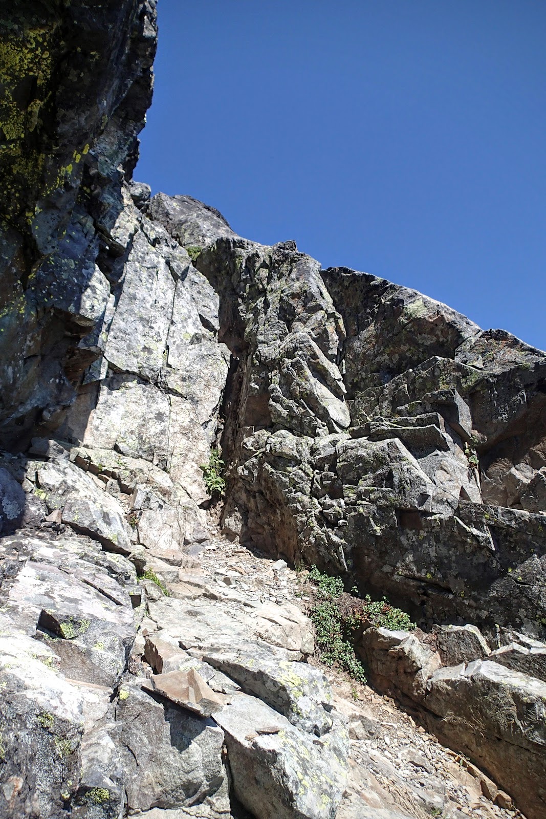 Running Wild, Washington: Box Ridge Loop