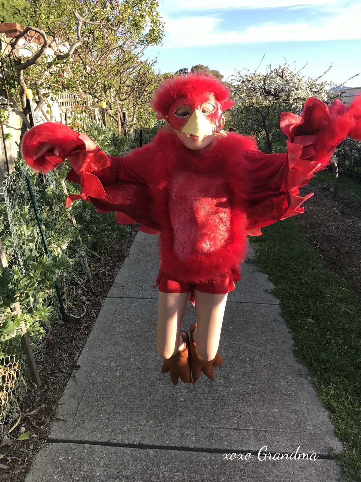xoxo Grandma: Make a Child's Red Bird Costume