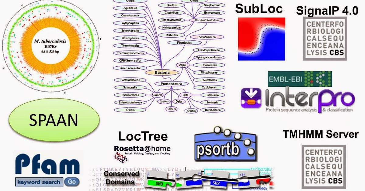 Bioinformatics Tools: Functional Annotation of Hypothetical proteins