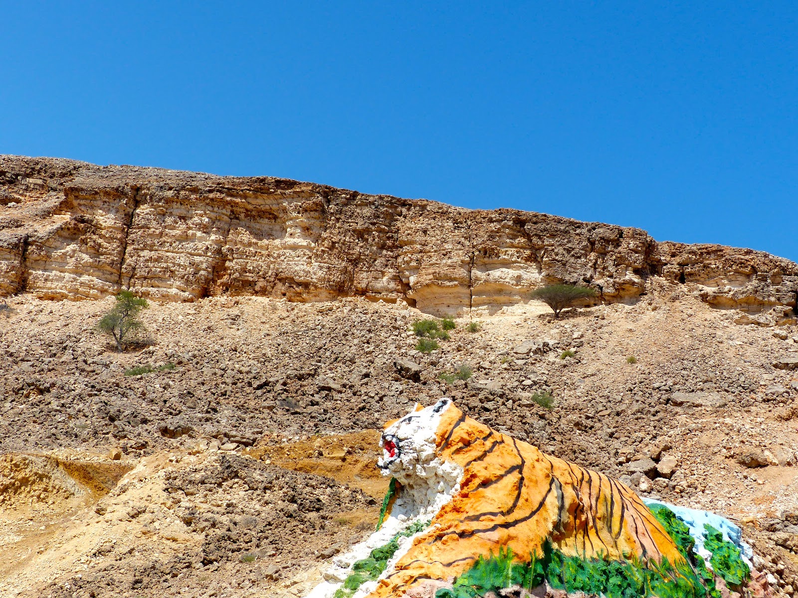 Smart Travels: Oman: east coast, turtles, tigers and camels