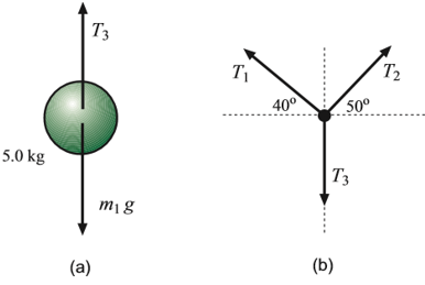 Applying Newton’s Laws Problem and Solutions 1 - JEE-IIT-NCERT Physics ...