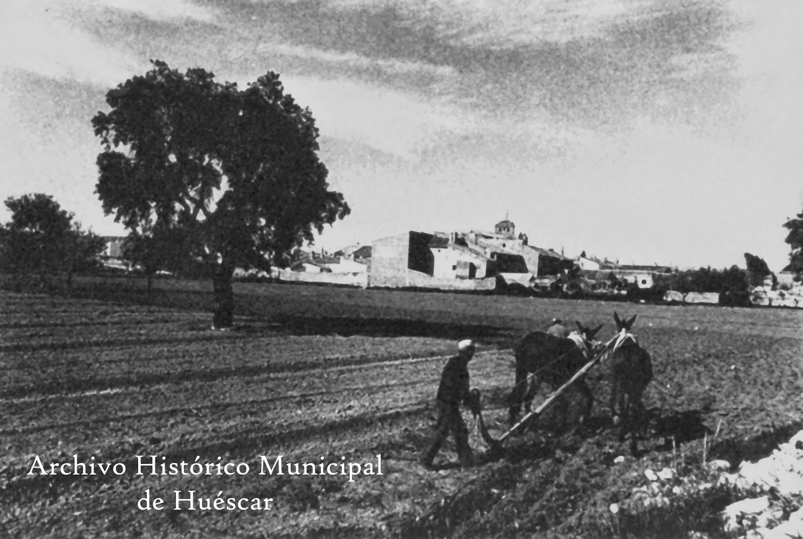 El Archivo hace saber...: ARQUITECTURA POPULAR DE HUÉSCAR