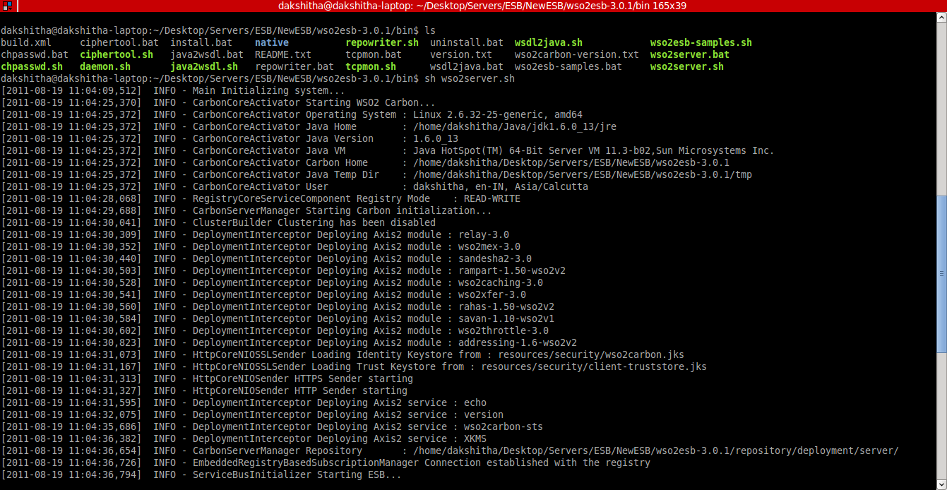 How to Create and Deploy a CAR File in a Stand-alone WSO2 Server and in ...